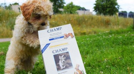 Chrisco – Godbidder, foder og tilbehør til kæledyr